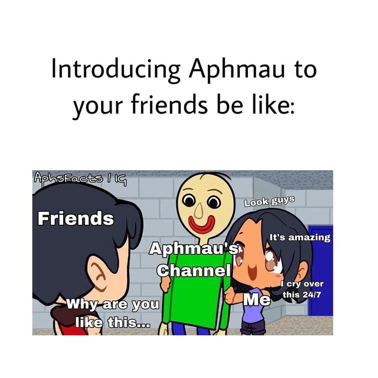Here have my collection of Aphmau memes | Fandom