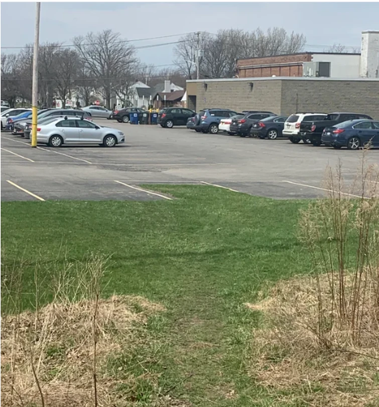 AND THAT ONE'S STILL GREEN | Fandom