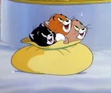 Discuss Everything About Tom and Jerry Wiki | Fandom