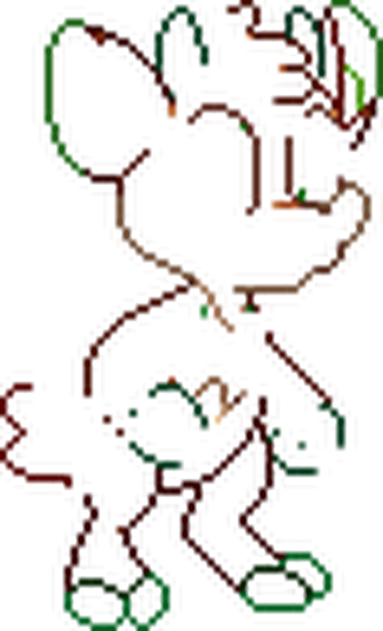 I drew triptrop | Fandom