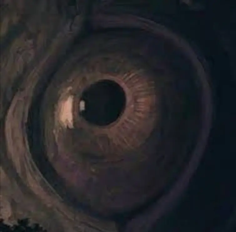 Phase 201 (gold XD) after getting it’s origin found | Fandom