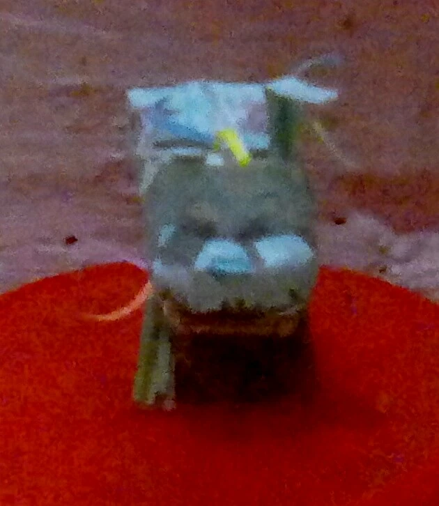 Springtrap Papercraft | Fandom