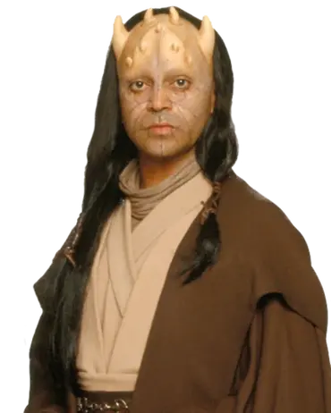 Discuss Everything About Wookieepedia | Fandom