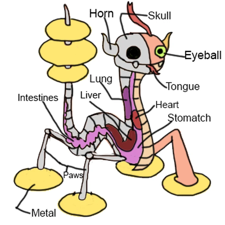 Monster Anatomy (5) | Fandom