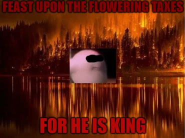 Best Tax reform meme? | Fandom