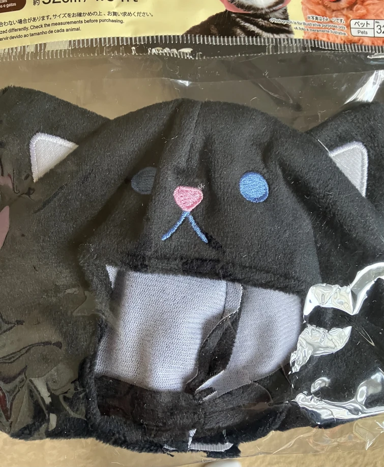 day one of waiting for my touya neso | Fandom