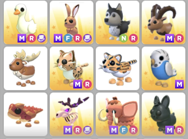 Discuss Everything About Adopt Me! Wiki | Fandom