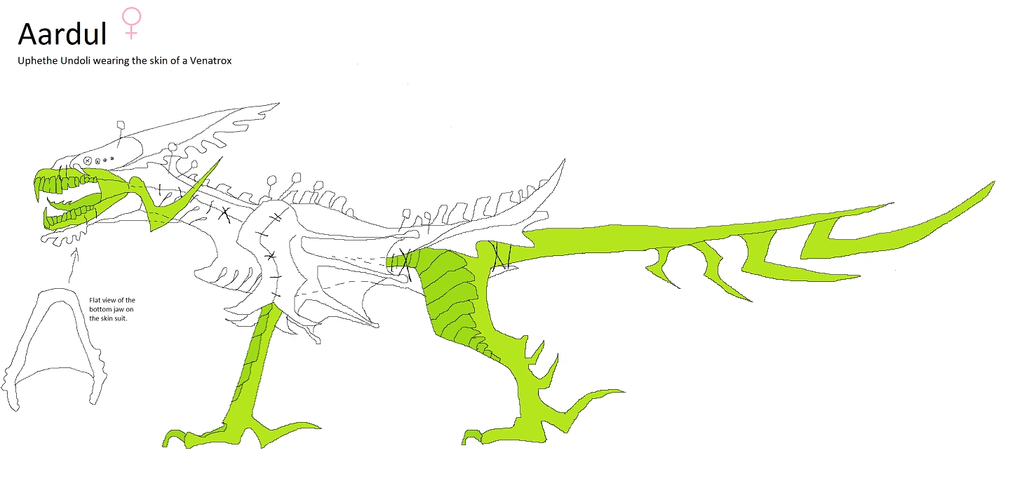 undoli oc ref sheet wip | Fandom