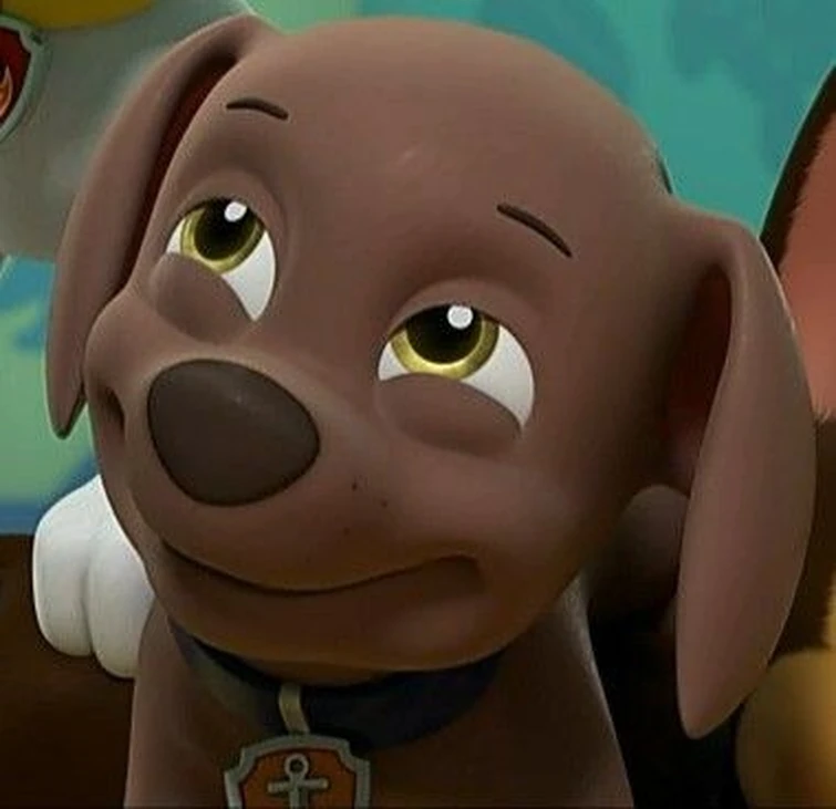 Some more close ups of the adorable smiling Zuma. | Fandom