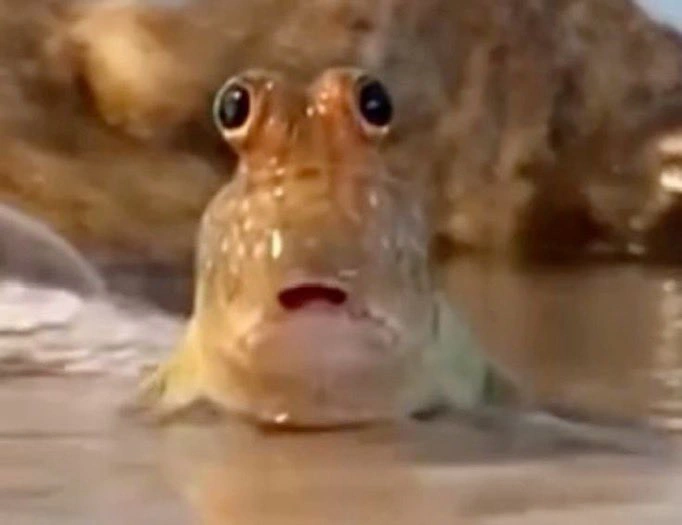 Btw, Cole the Geek used AI for the assets in one of his shows. | Fandom