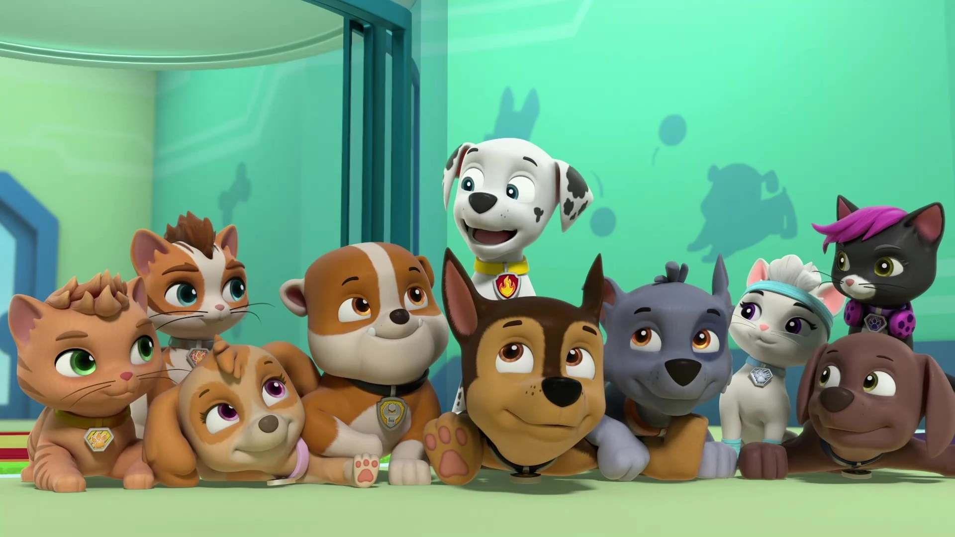 We Look Different, But We Are All The Same | Fandom