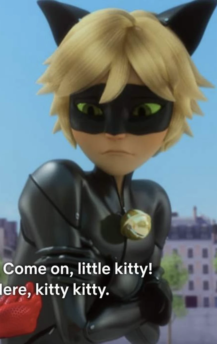 (Secret Project: B.R.E.E.D) Cat Noir’s behavior and problem | Fandom