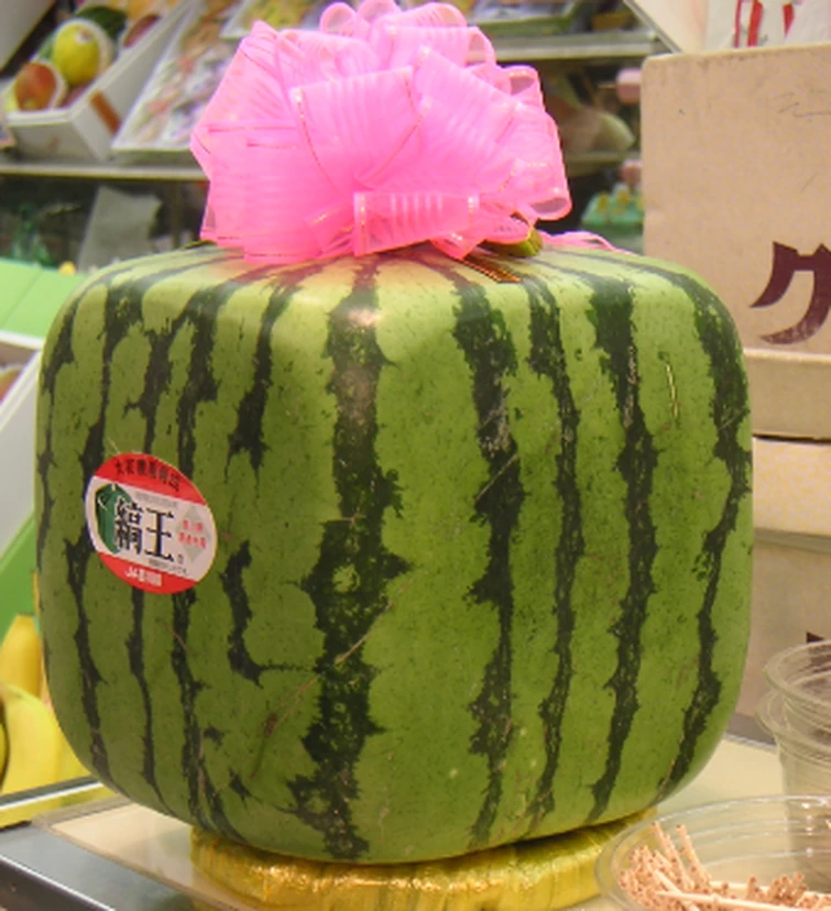 square melon | Fandom