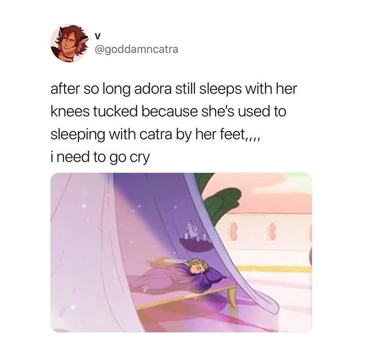 Memes and other she ra stuff! :D | Fandom