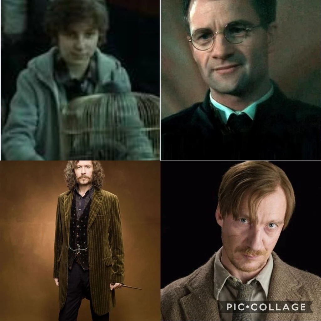 The New Marauders | Fandom