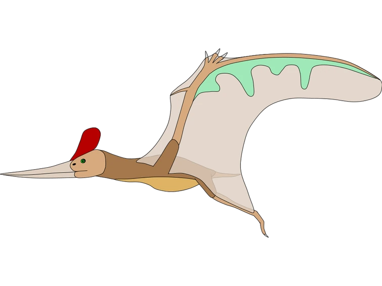 Pteranodontid for Lost in the Primordial World | Fandom