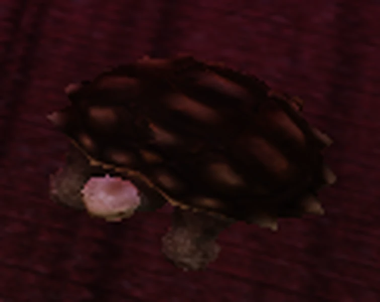 Genuine question | Fandom