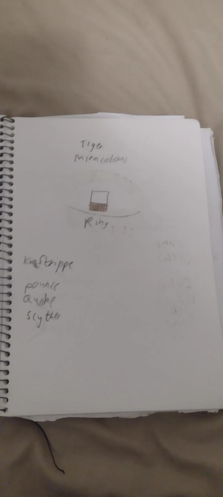 Do u think there will be an African miracle box in the special | Fandom