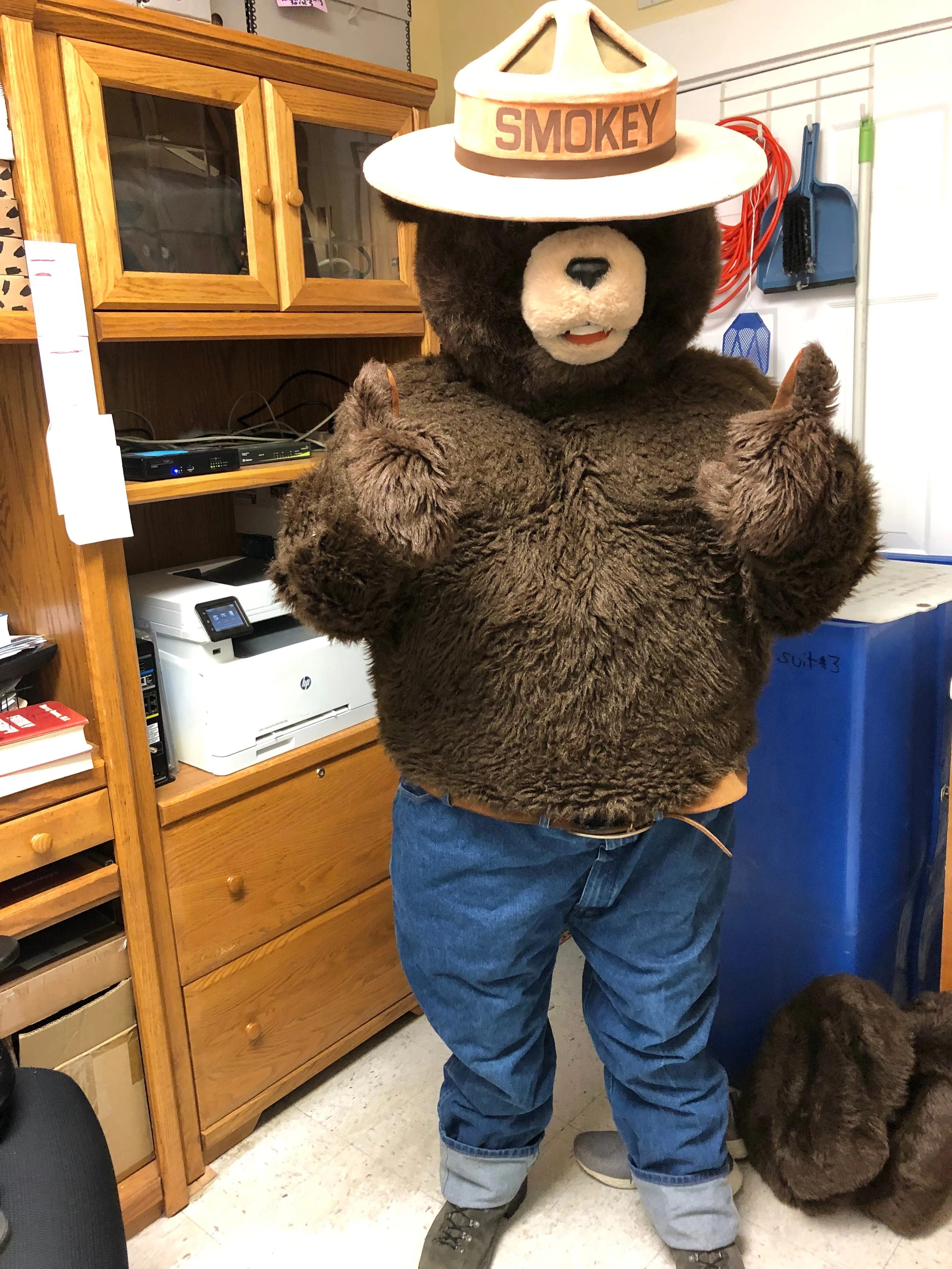 A small "theory" on the 3rd member of the Security Hub Trio | Fandom