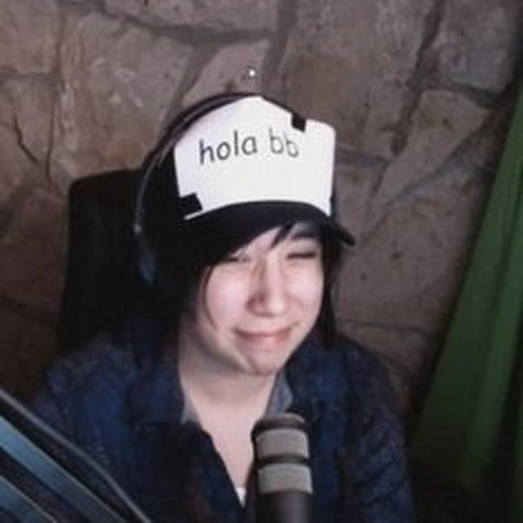 old DSMP images | Fandom