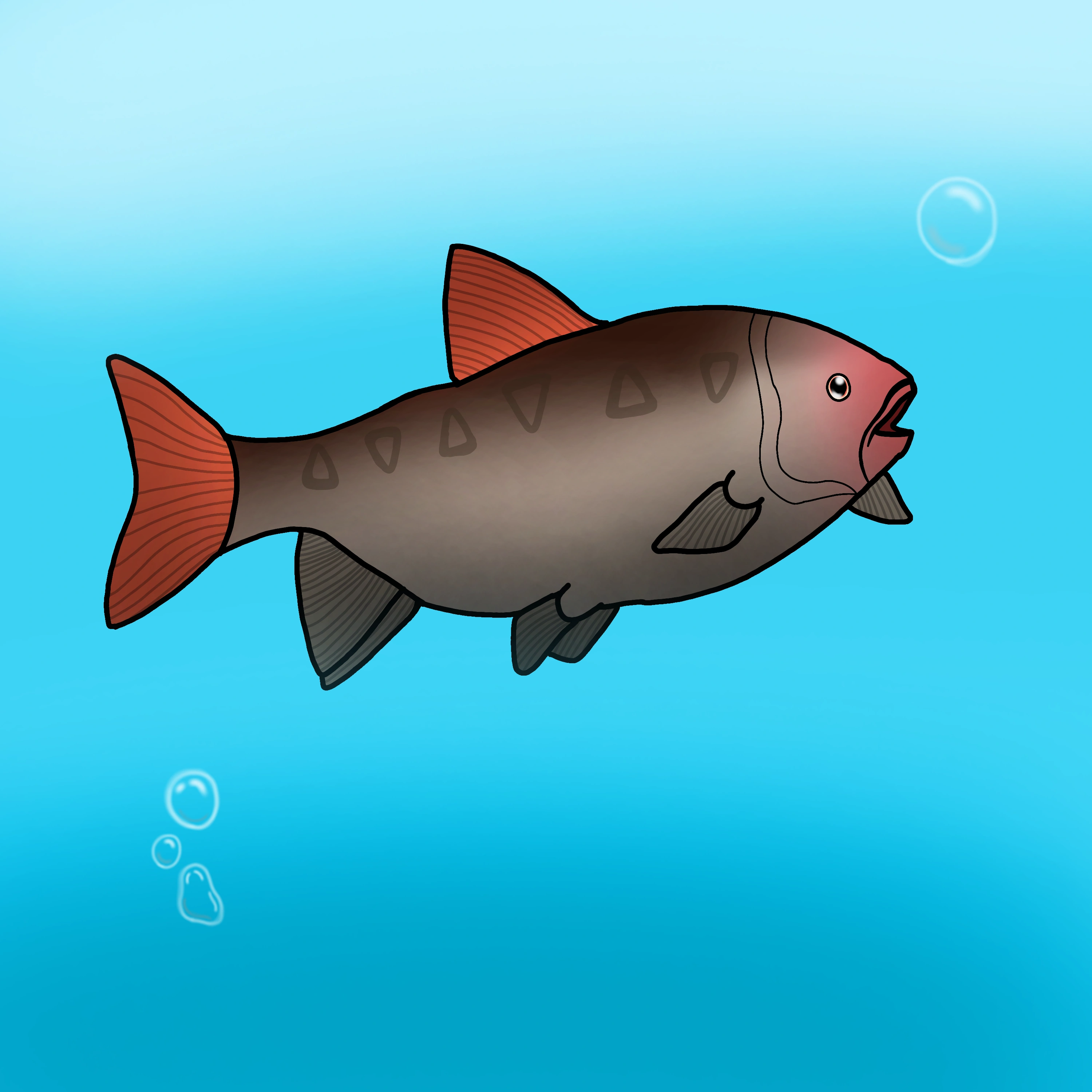 My drawing of Black-Back Bass (and the first object of any game I ...