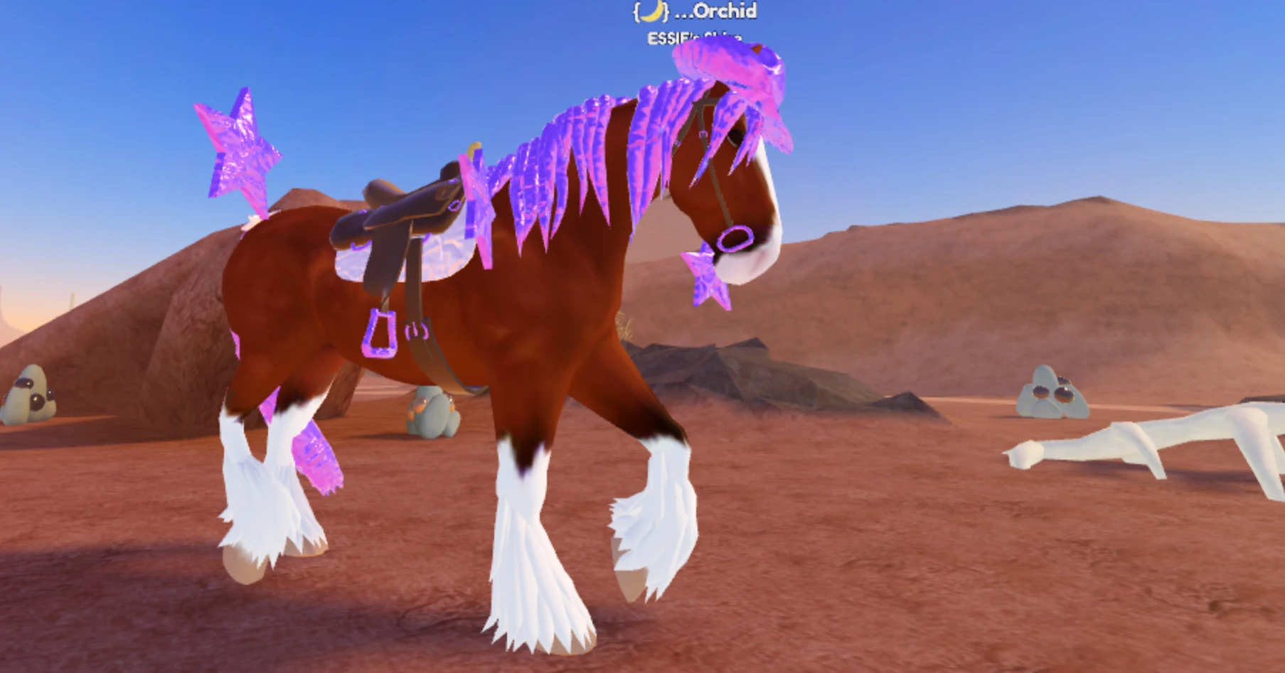 LAO! - amethyst dapple bay shire | Fandom