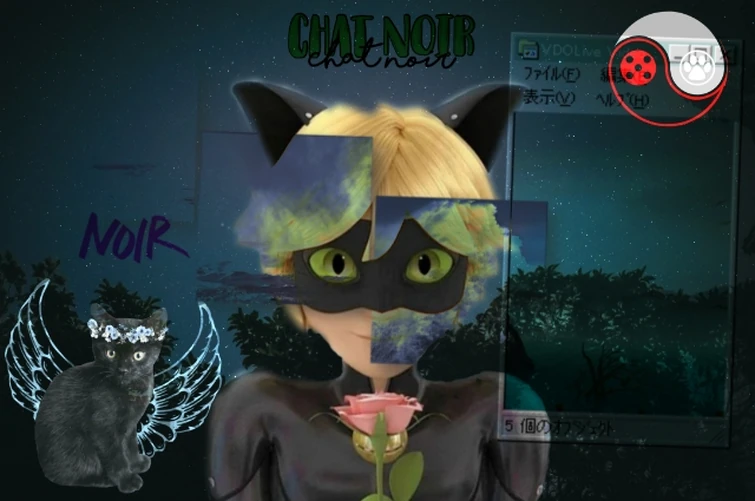 Chat Noir Edit | Fandom