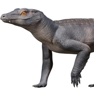 Discuss Everything About Dinopedia | Fandom