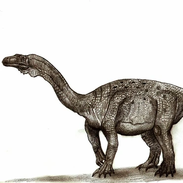 Discuss Everything About Dinopedia | Fandom