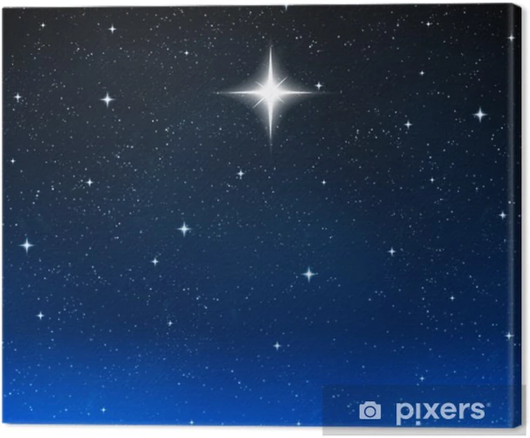 Wish upon a ⭐ | Fandom