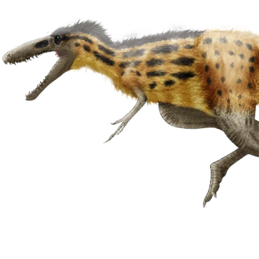 Battle of the 20-foot Carnivores - 1:19 (final battle of round 1) | Fandom
