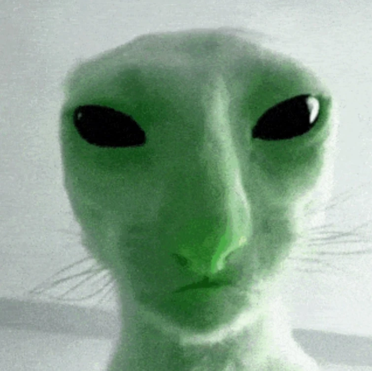 I'm super disappointed in cheedamaN for sneezing | Fandom