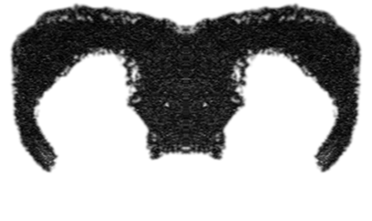 Discuss Everything About Roblox BEAR Wiki | Fandom