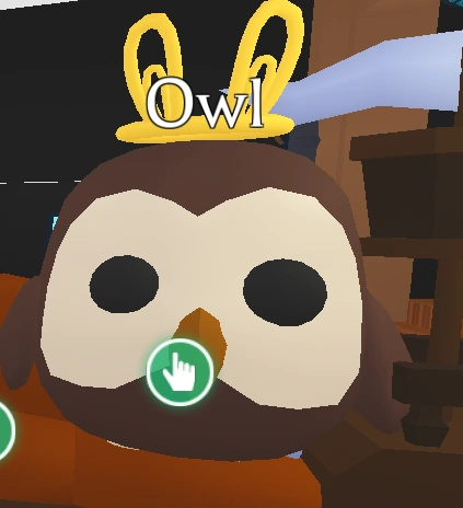 As said yesterday i got FR Owl, Help me name them | Fandom