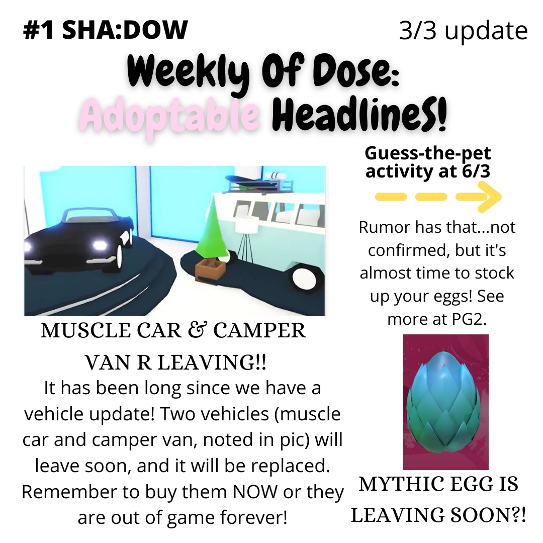 #1 SHA:DOW!! (Adoptable News!) | Fandom