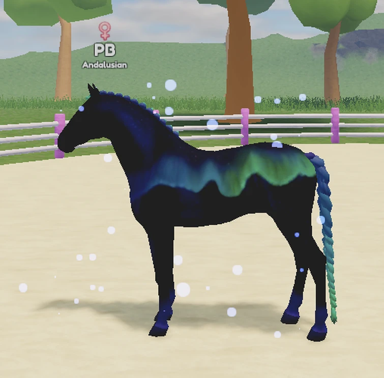 Need tack, acc, and name suggestions | Fandom