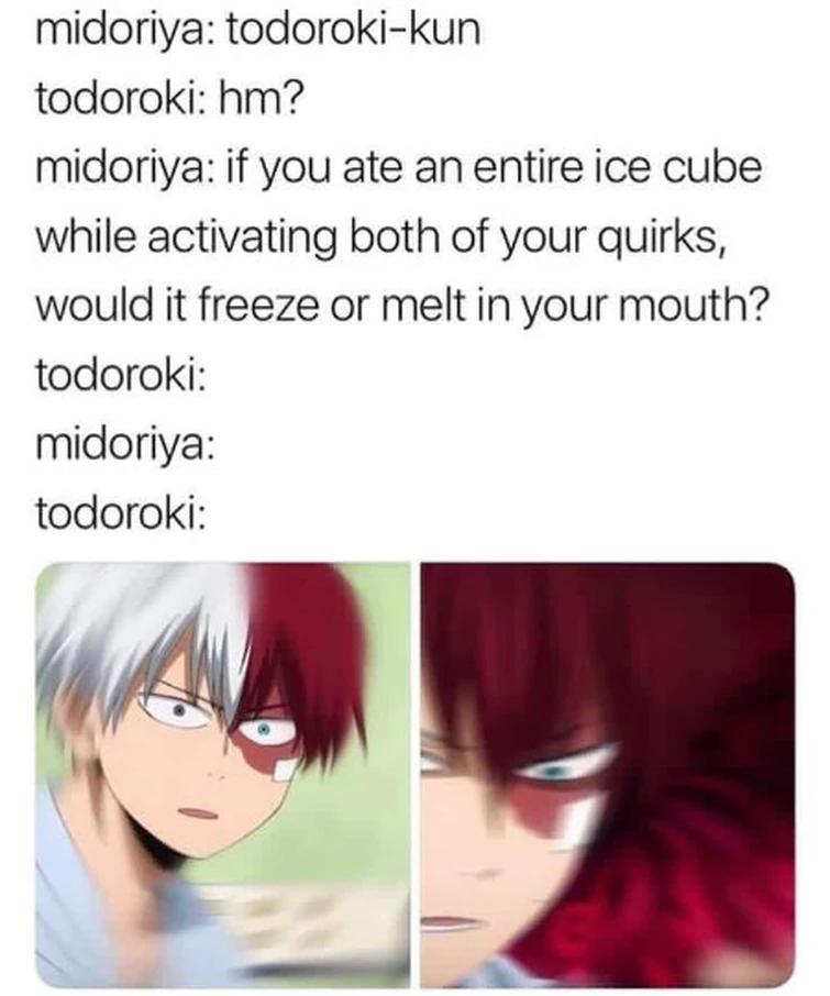 Todoroki meme | Fandom