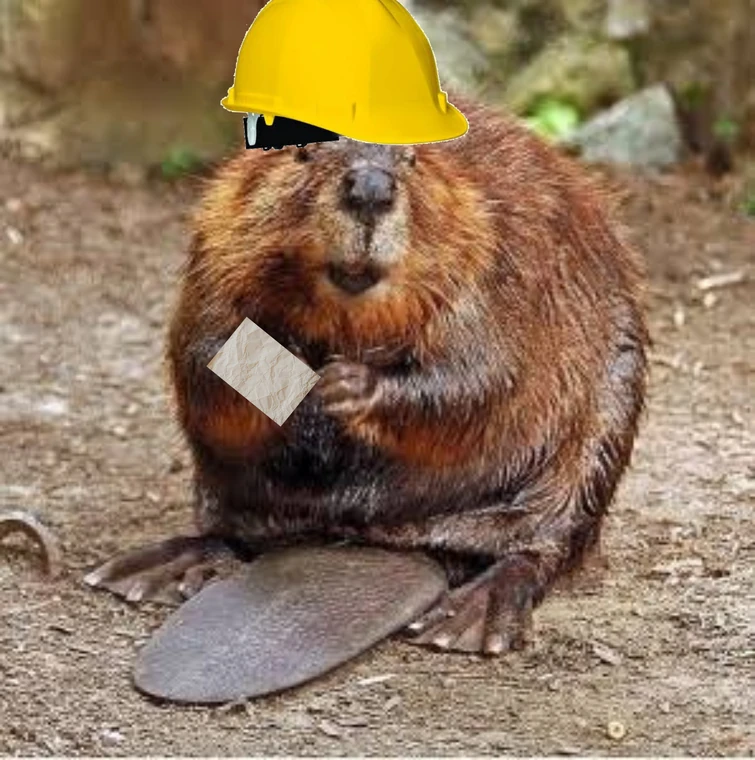 HTF in real life | Fandom