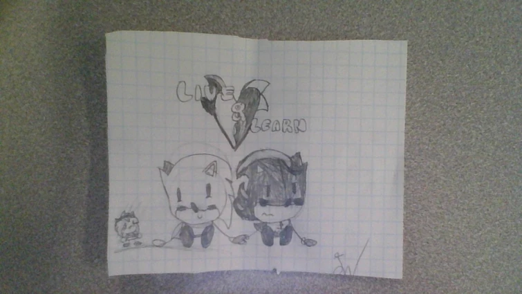 (Plz No Drama) Sonic X Shadow Drawing | Fandom