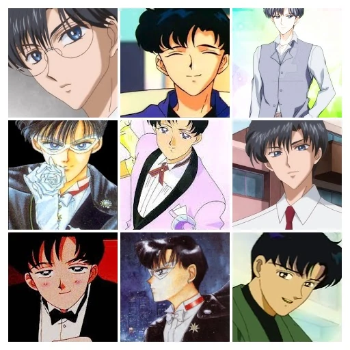 My Mamoru Chiba/Tuxedo Mask/Prince Endymion collage | Fandom