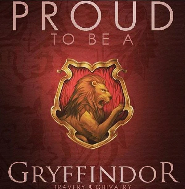 Happy Gryffindor Pride Day 🚩♦️🦁 | Fandom