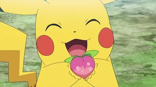 Happy Pokémon day everyone!!! | Fandom