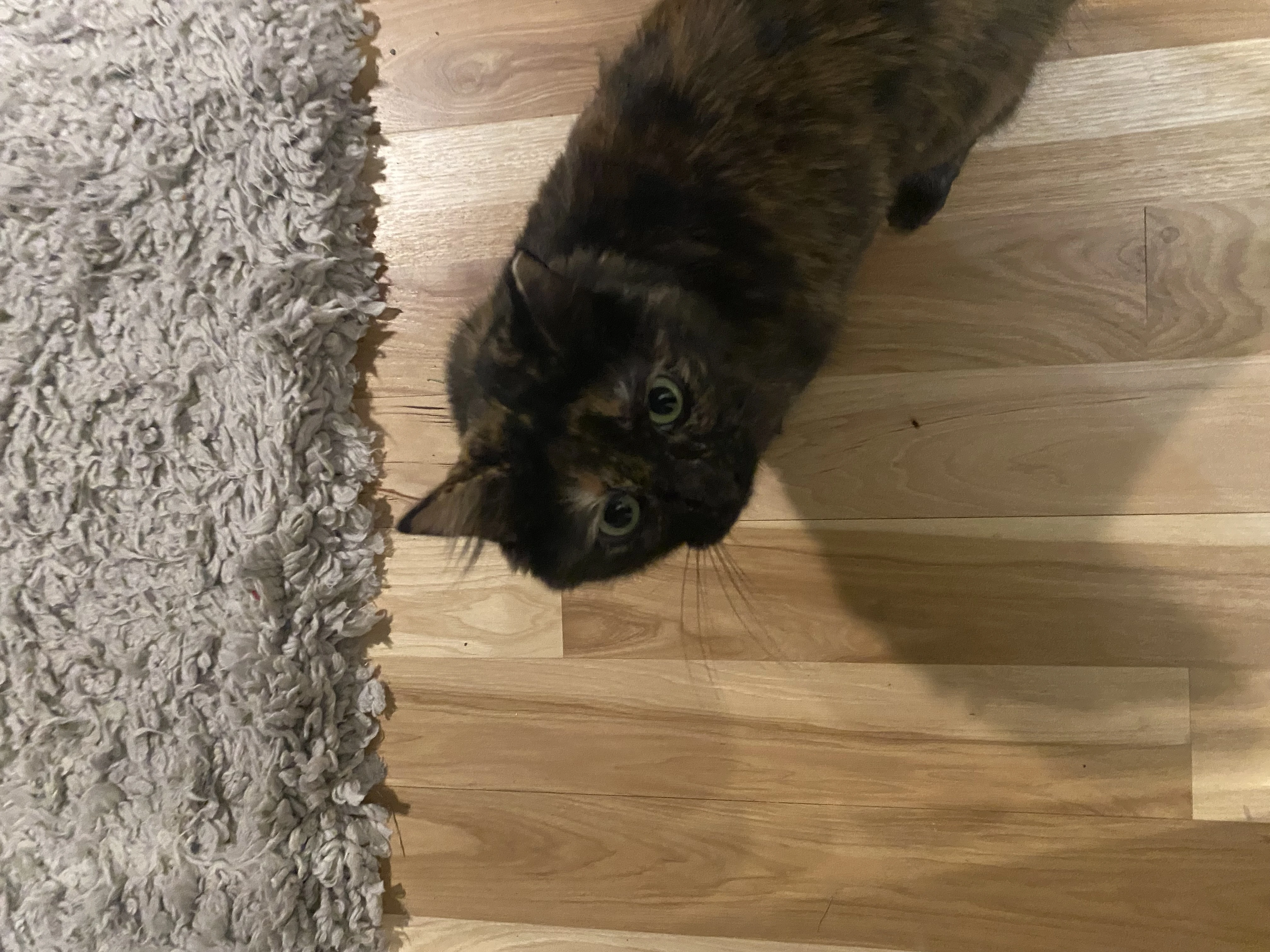 her name is poopy stinky butt and she has 6473662 diseases | Fandom