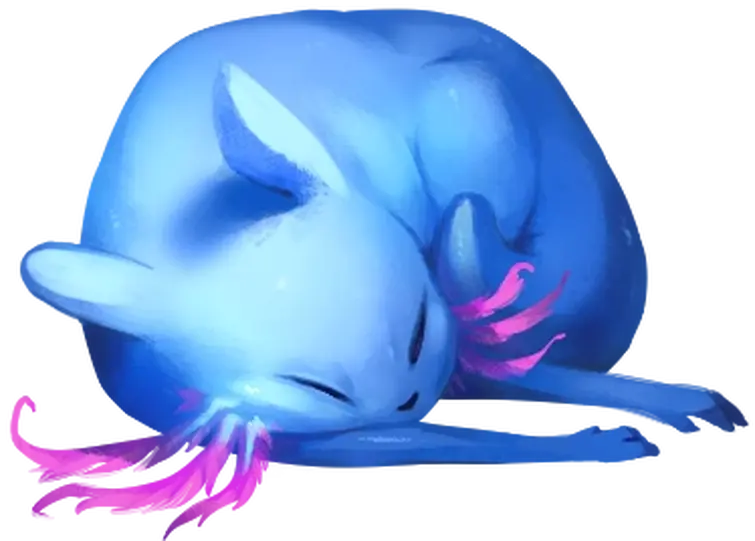 Real photo of me when I get too eepy | Fandom