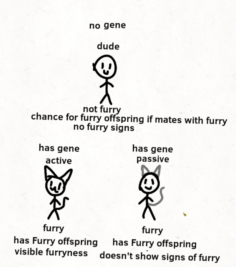 HOW THEY REALLY WORK : FURRIES | Fandom