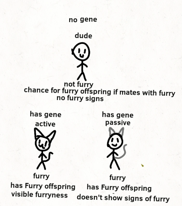 HOW THEY REALLY WORK : FURRIES | Fandom