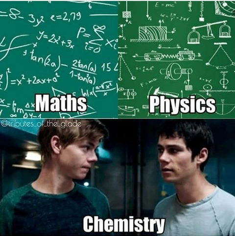 Just a Newtmas Meme | Fandom