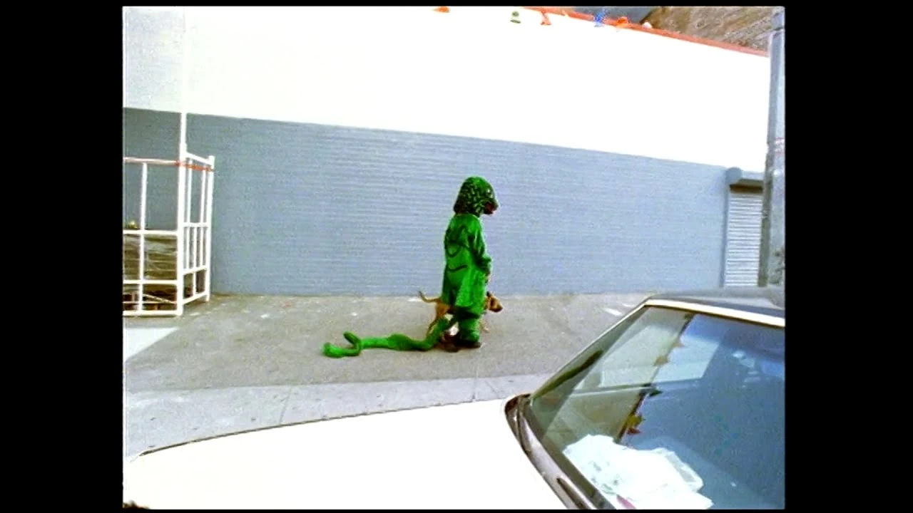 King of Snake | Fandom