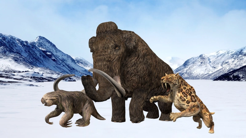 Woolly Mammoth Megalonyx and Smilodon | Fandom