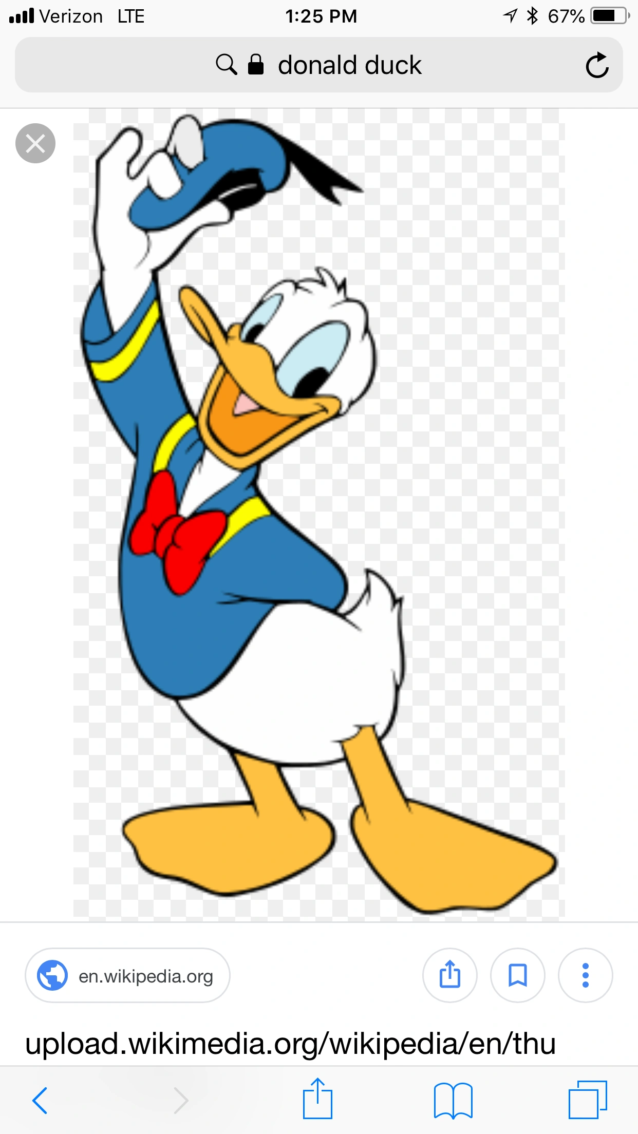 Donald Duck | Fandom